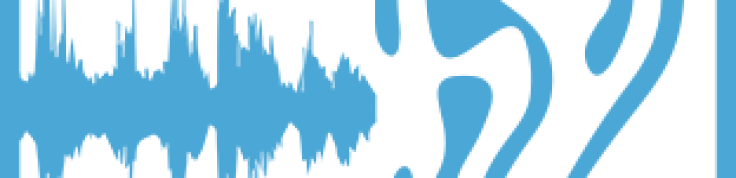 Akustik-Kompetenz-Schall-Piktogramm - Planex GmbH